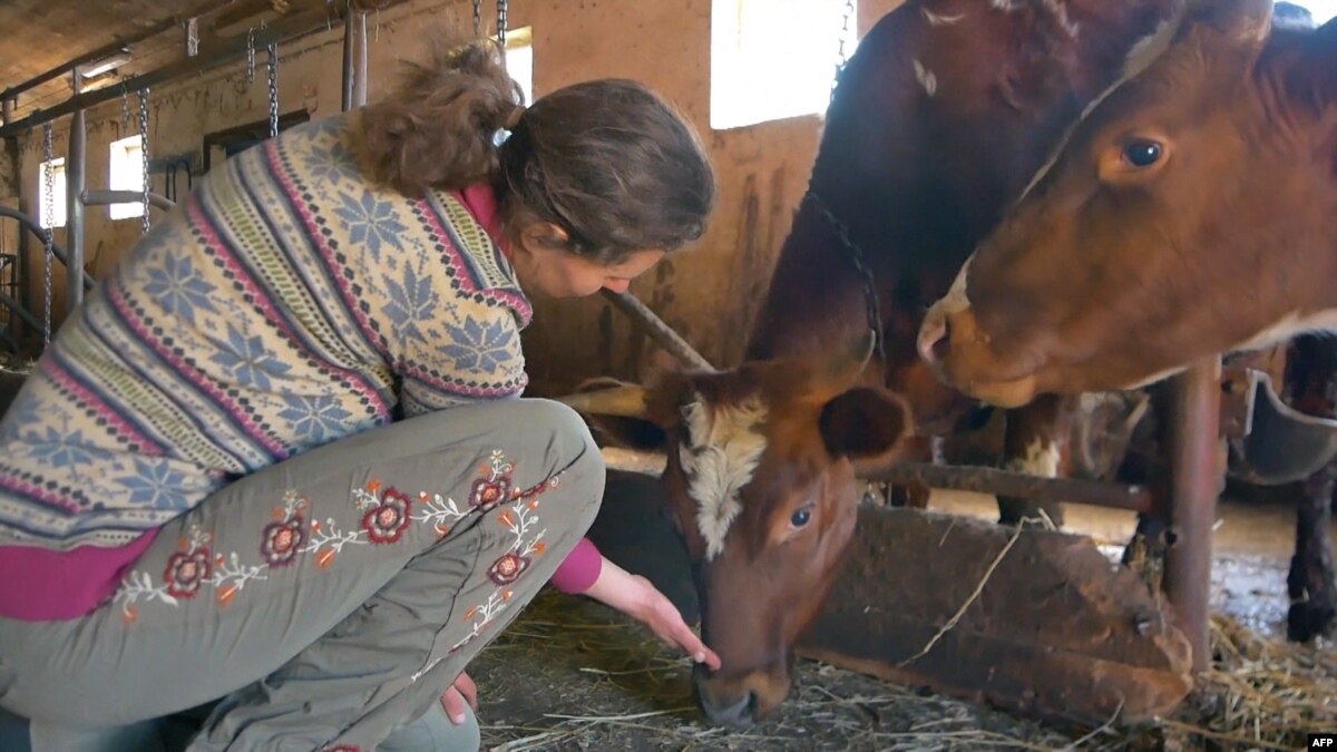 Russian Farm Offers Work And Community For Intellectually Disabled