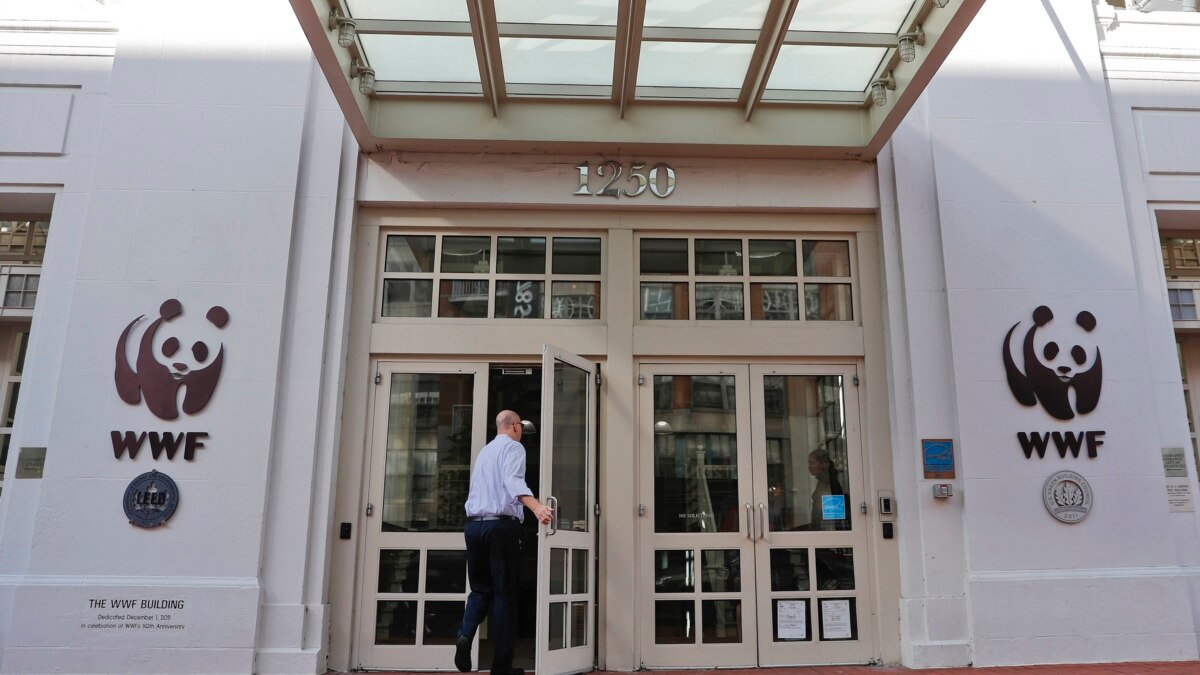 Russian WWF Entity Cuts Ties With International Parent Organization ...