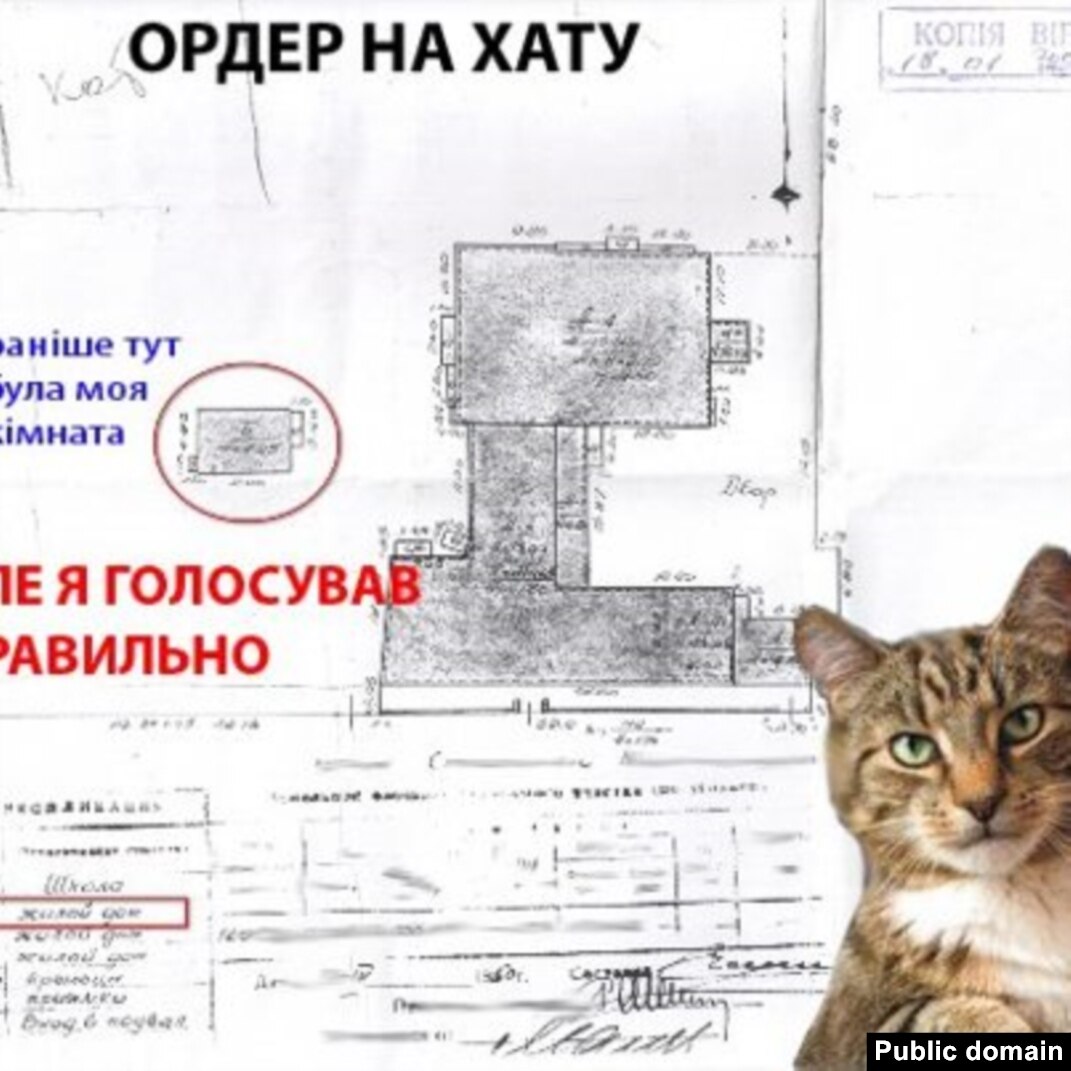 Oude Kattenvrouw Meme