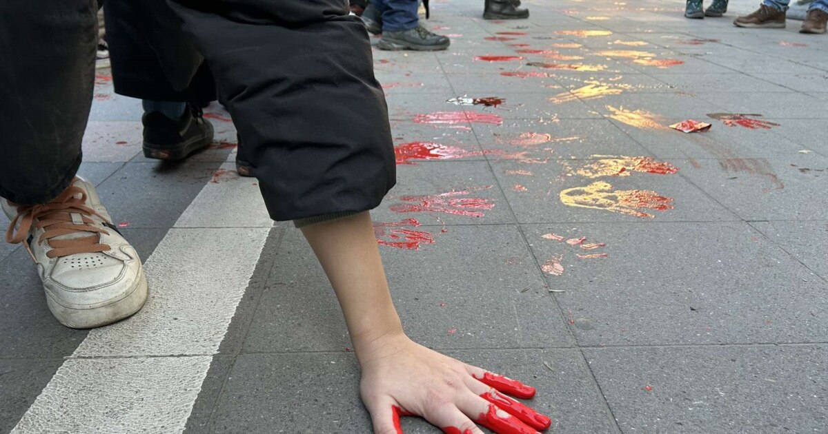 Сестрата на загинатата Фросина бара правда денеска нов протест