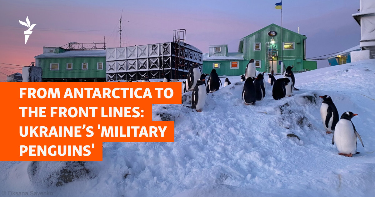 From Antarctica To The Front Lines: Ukraine's 'Military Penguins'