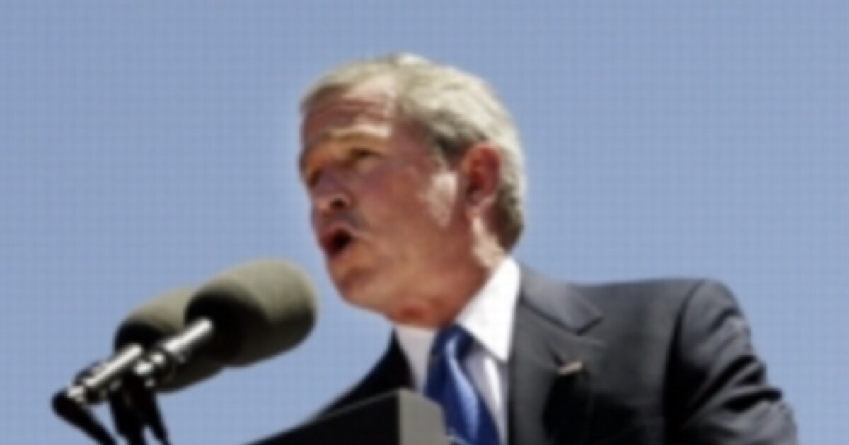 Georgia: Bush Hails Tbilisi's Role In Spread Of Democracy