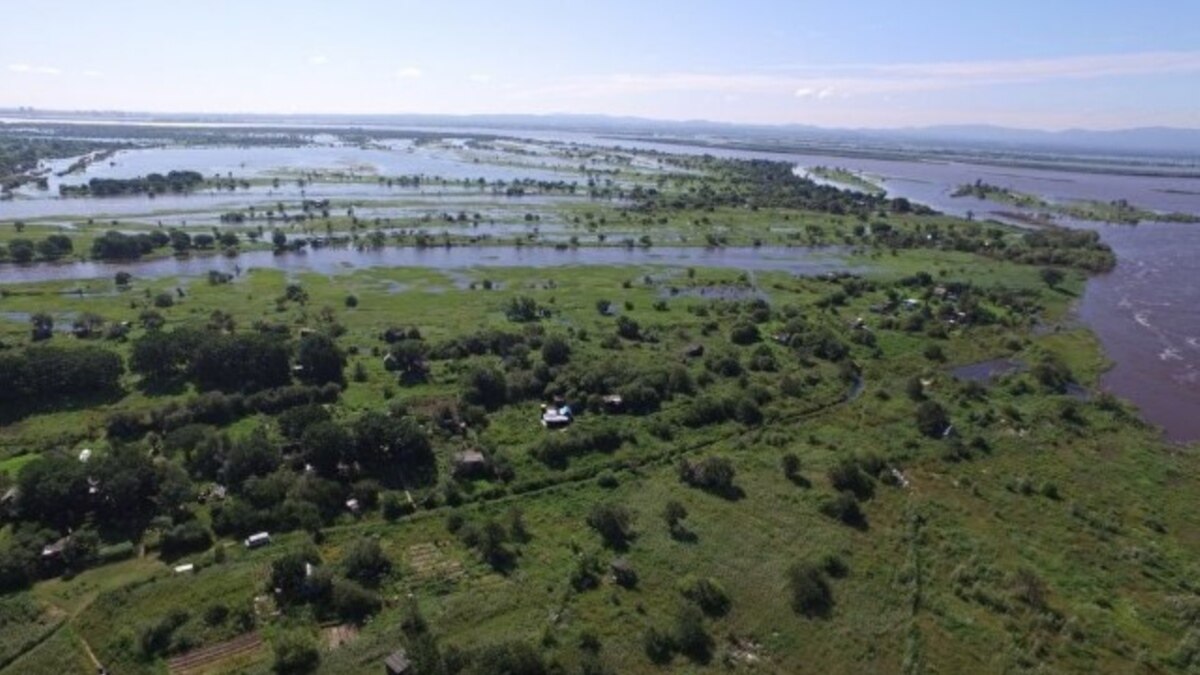 Хабаровск: подтоплено больше 220 домов