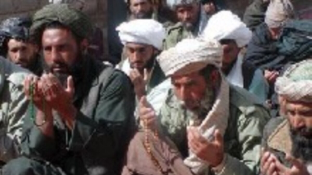 Four Al-Qaeda Members Captured in Afghanistan