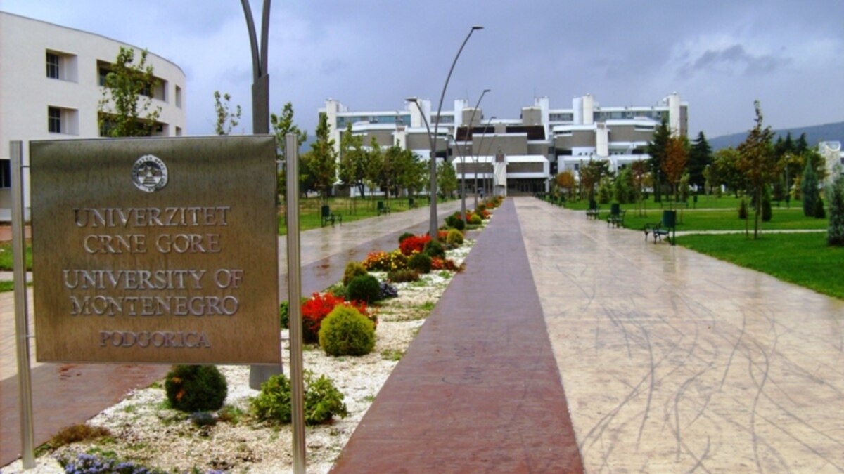 Neznanje pokriveno diplomama?