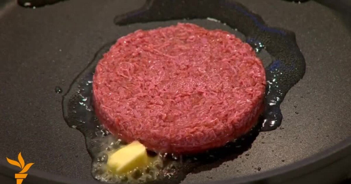 First Lab-Grown Hamburger Eaten In London
