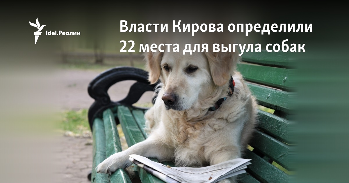 Власти Кирова определили 22 места для выгула собак