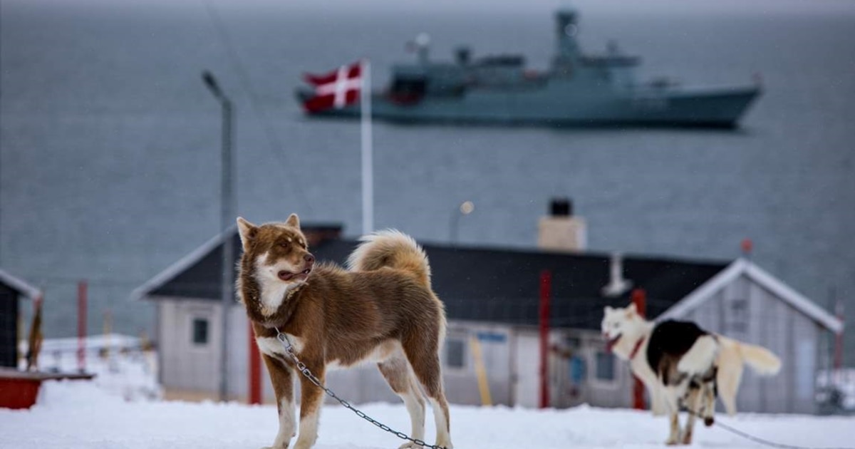 Tramp Qrenlandiyanın müdafiəsi barədə: 'İki it xizəyidir'
