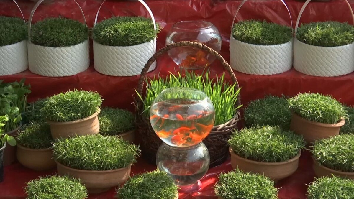 Iranians Prepare For Norouz Celebrations