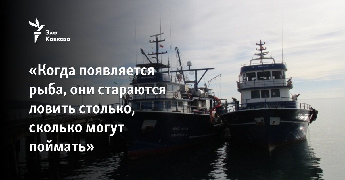 «Когда появляется рыба, они стараются ловить столько, сколько могут ...
