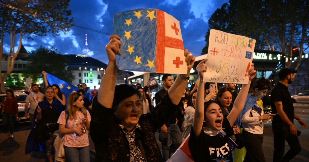 Gjeorgjia llogarit në ndihmën e mikut rreth ligjit për agjentët e huaj