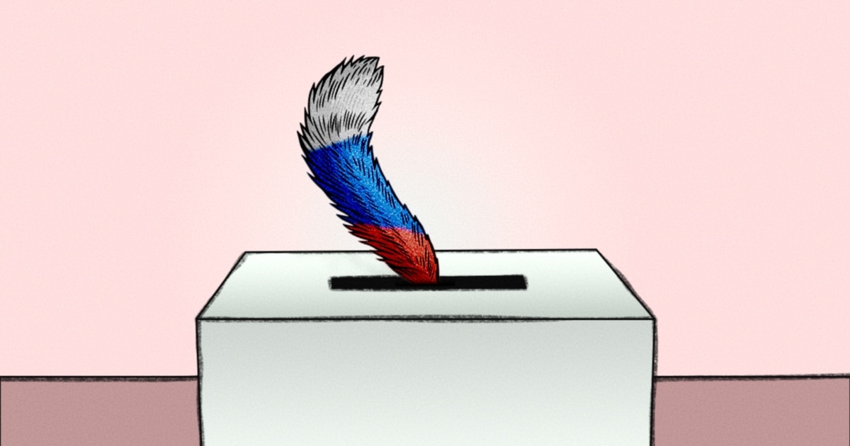 The Russian Tail: How Data Could Reveal Georgian Election Fraud