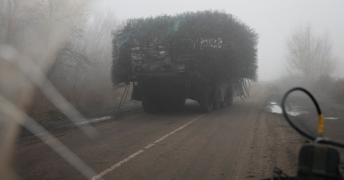 Hedgehogs In The Fog: The Unearthly New Armor Spotted In Ukraine