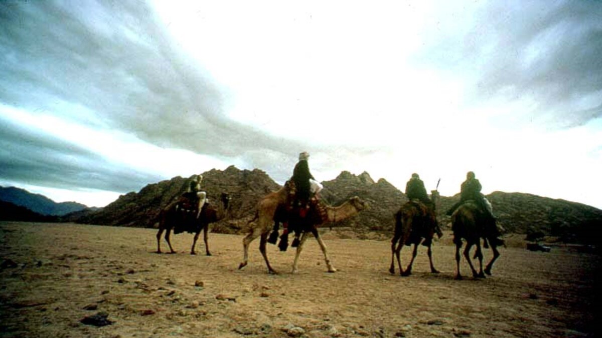 Iraqi Census Takers To Focus On Bedouin