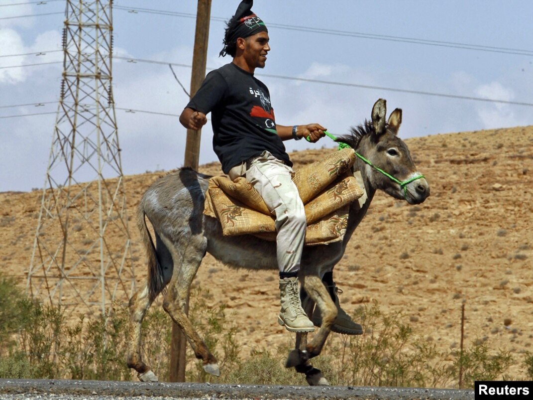 Obama Riding A Donkey