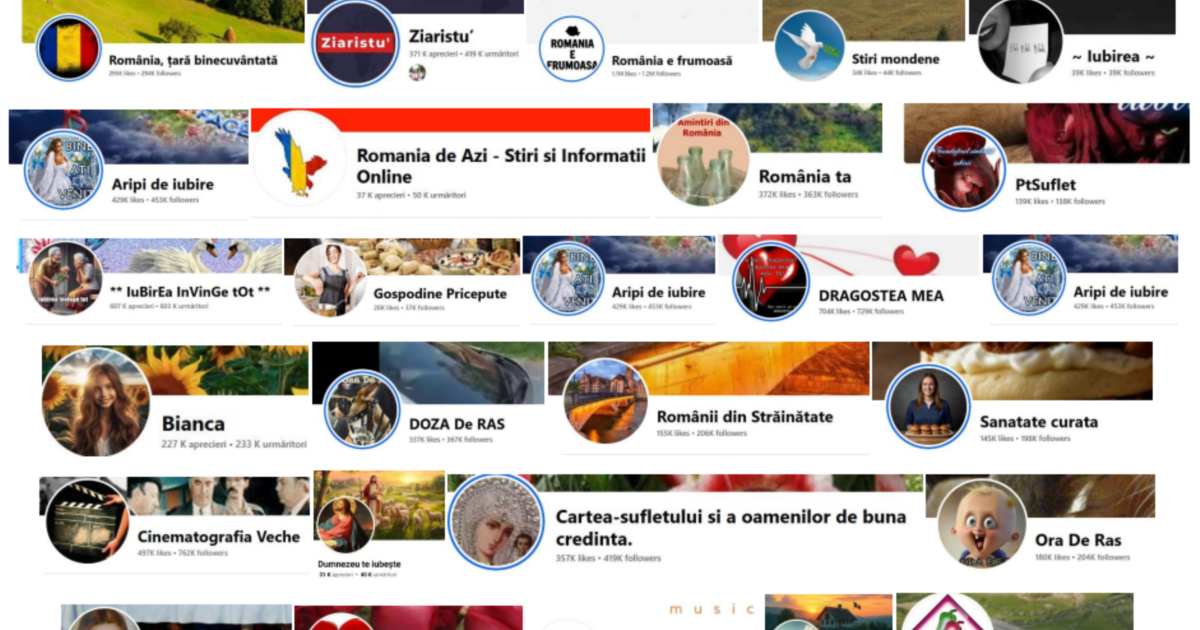 Metoda Doppelganger înainte de alegeri. ANCOM: O rețea de pagini ...