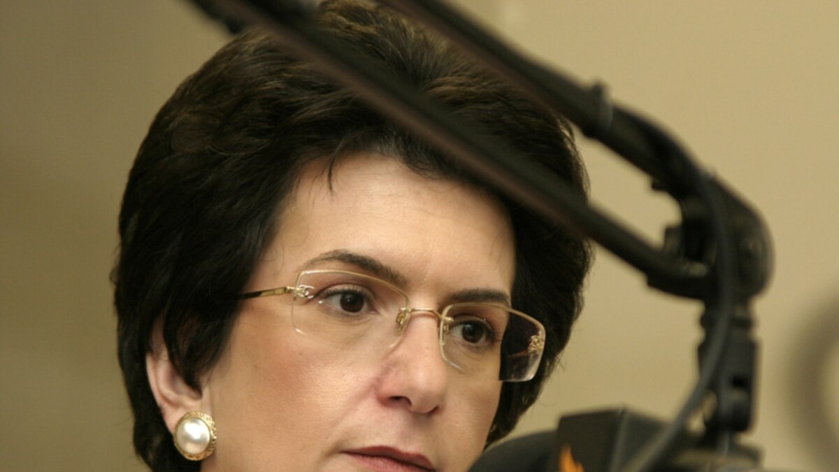 Georgia's Speaker Urges Europe To Diversify On Energy