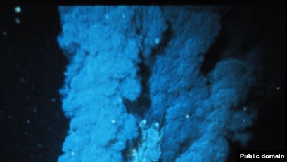 What Is Pyrolobus Fumarii