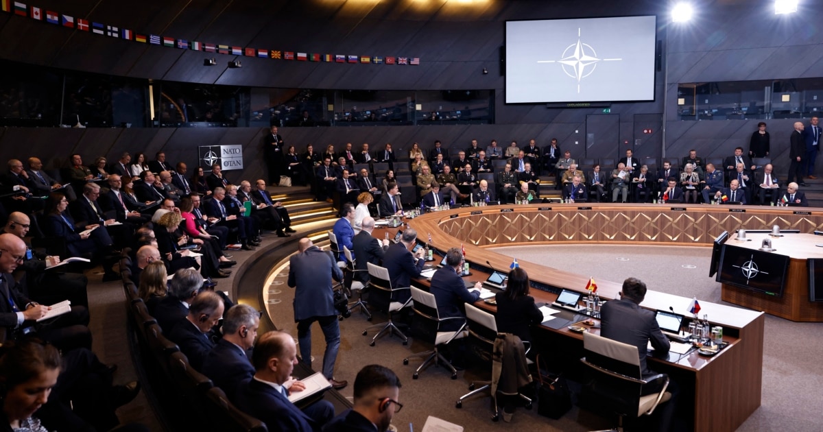 Aliați NATO: Ucraina și Europa trebuie să participe la negocierile de pace