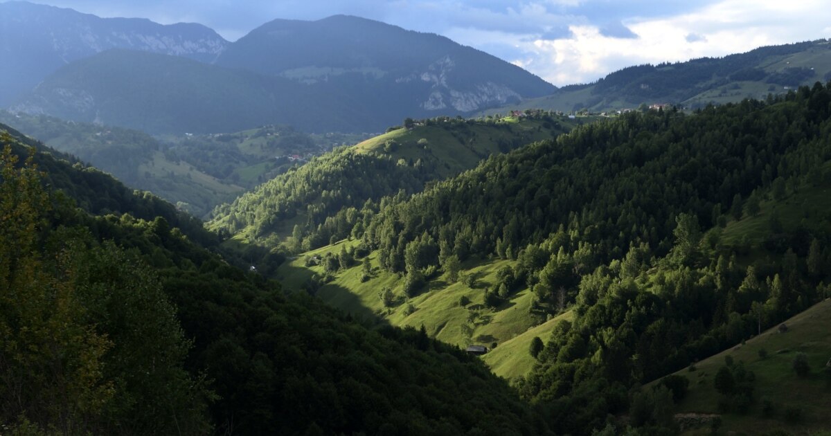 Dosarul Hrebenciuc-Romsilva, cu prejudicii de 300 mil. euro, închis ...