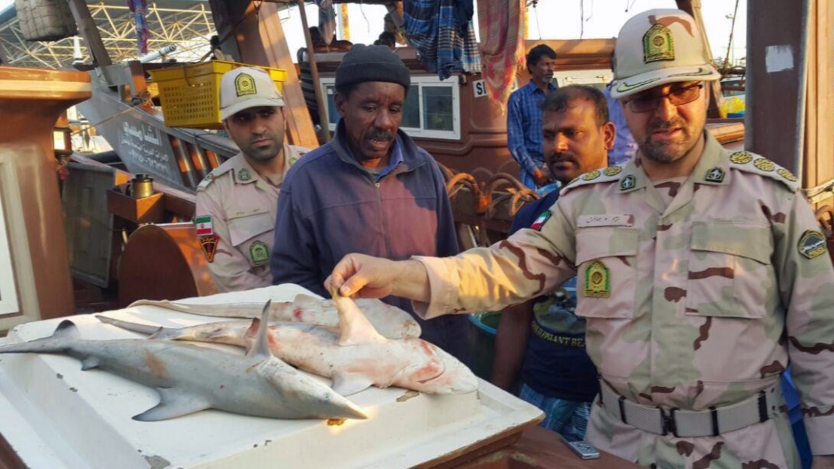 Uproar Over Chinese Fishing In Iranian Waters