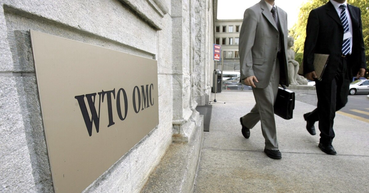 Georgia: Official Says Position Unchanged On Russian WTO Negotiations