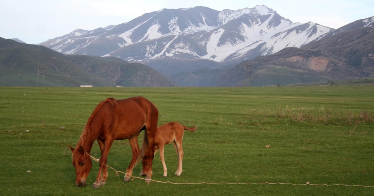 Новый климат в мире