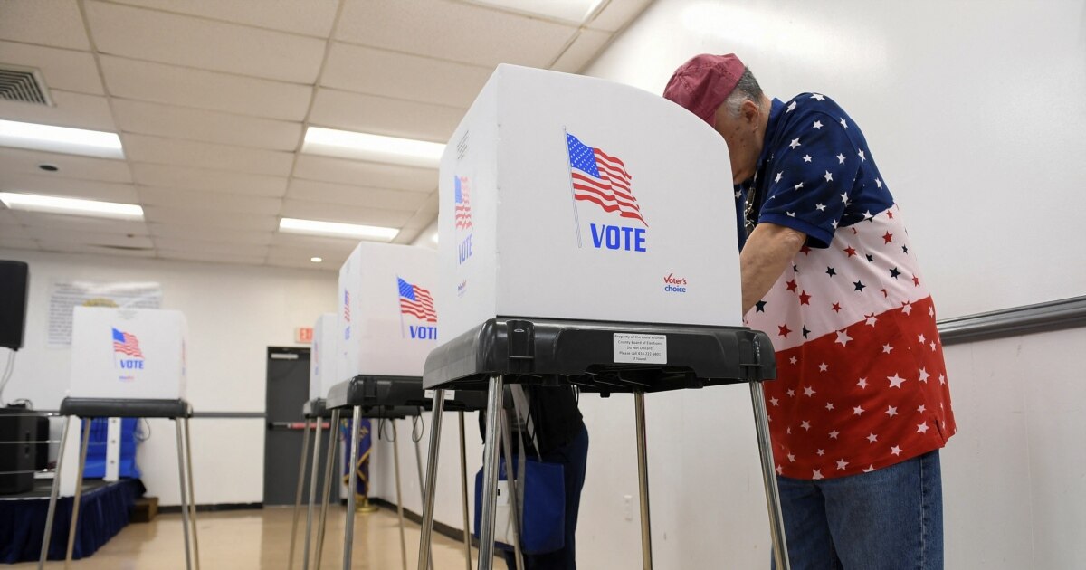 America: alegeri la mijloc de mandat într-o țară profund divizată politic