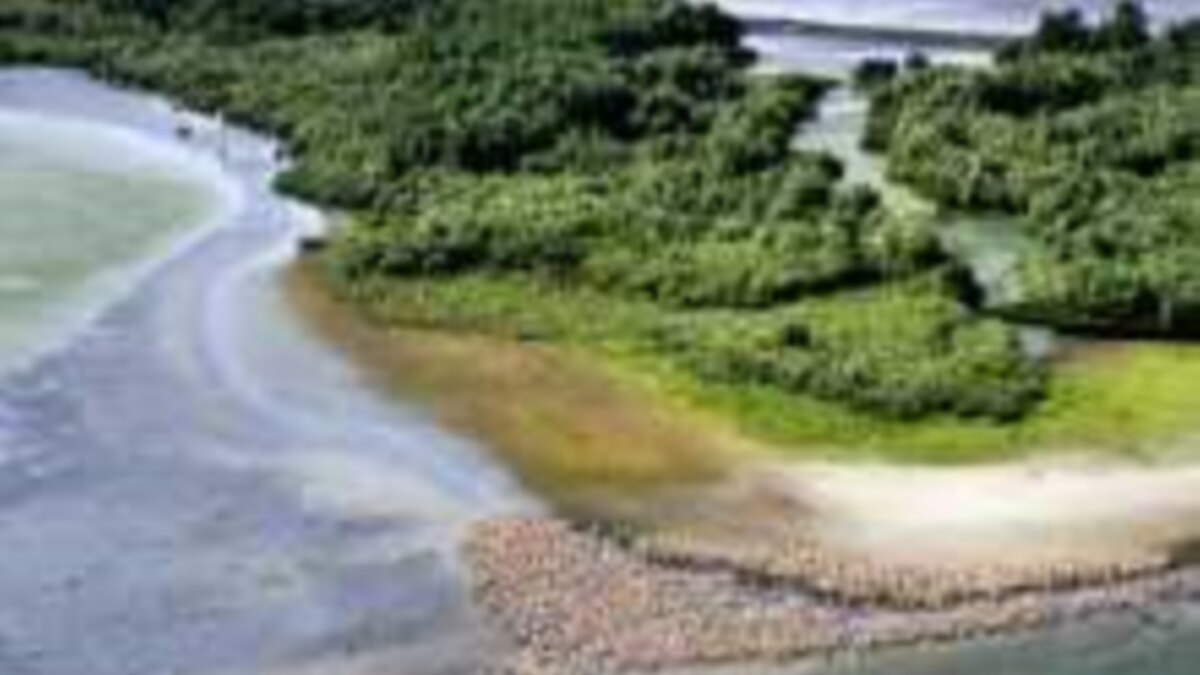 UN Says Ukraine Canal Threatens Danube Delta