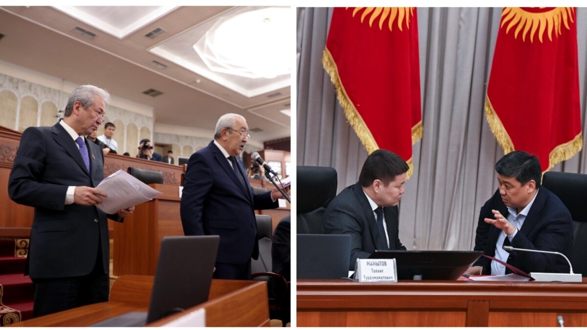 Провластные силы и оппозиция в парламенте