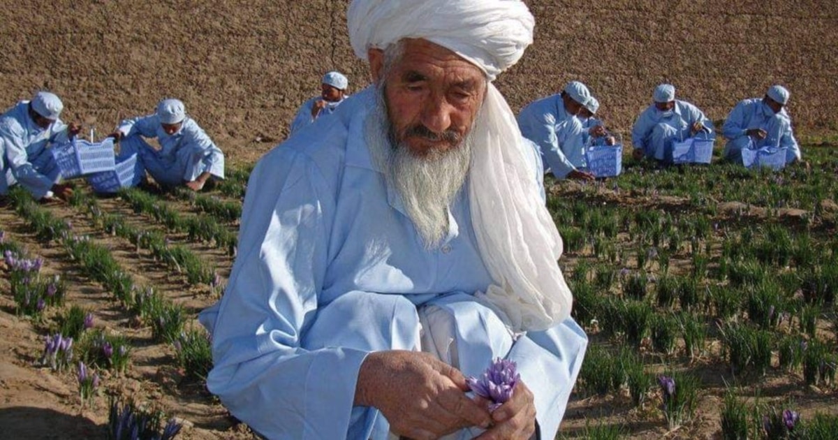 Afghanistan Bids Farewell To ‘Saffron Father’