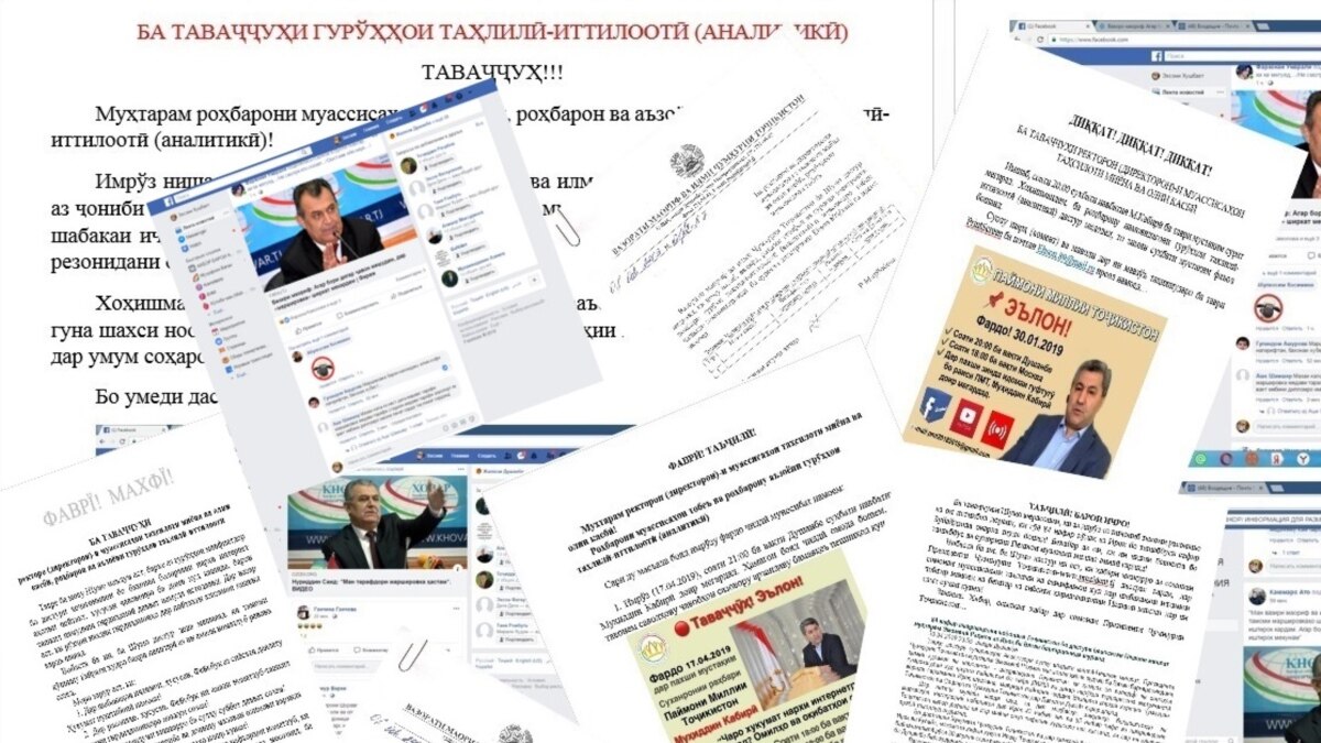 «Фабрика троллей» Таджикистана: главные лица и исполнители ...