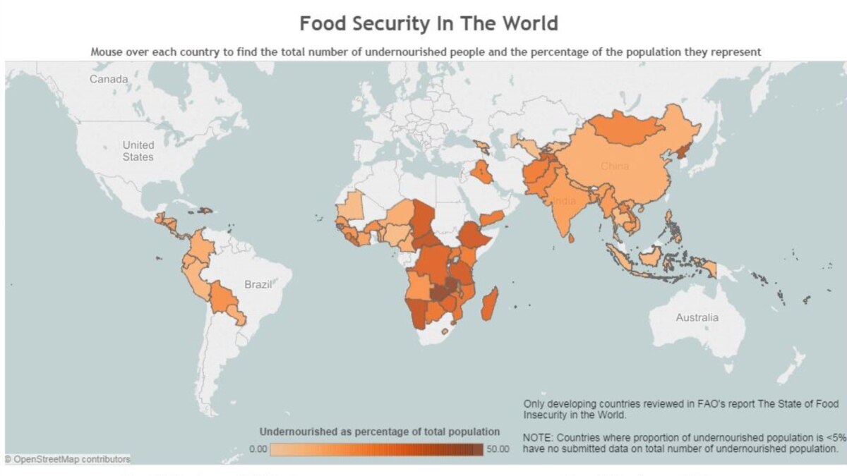 Food Security In The World