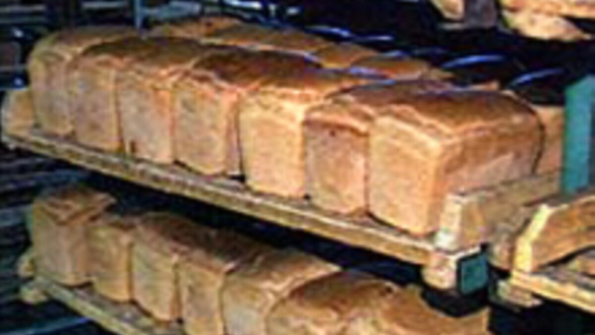Central Asia: Soaring Bread Prices Give Rise To Domestic Solutions