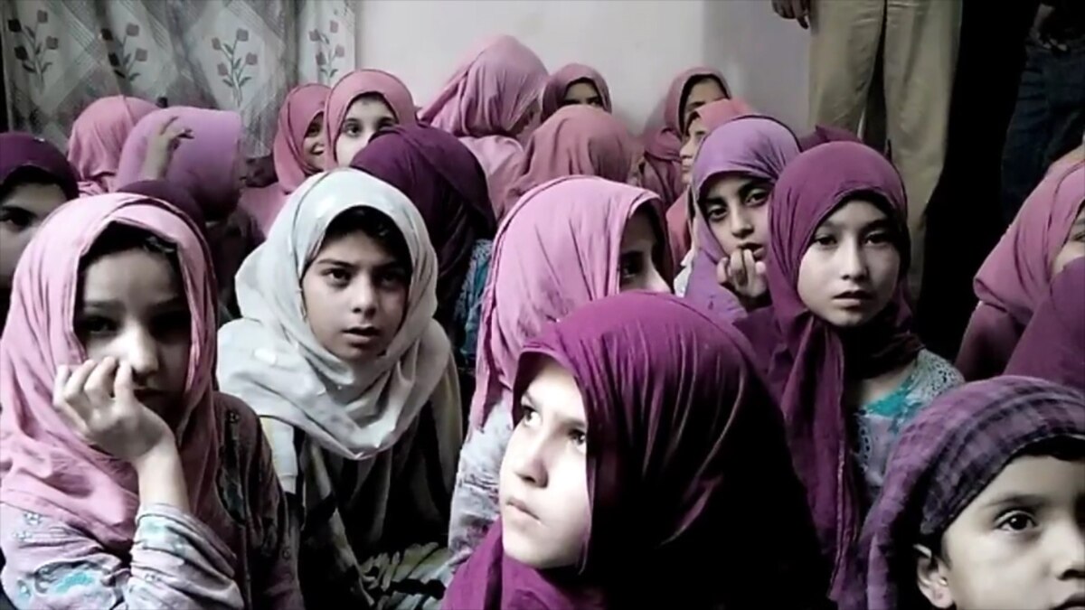 RFE/RL Video Roundup - Nov. 26