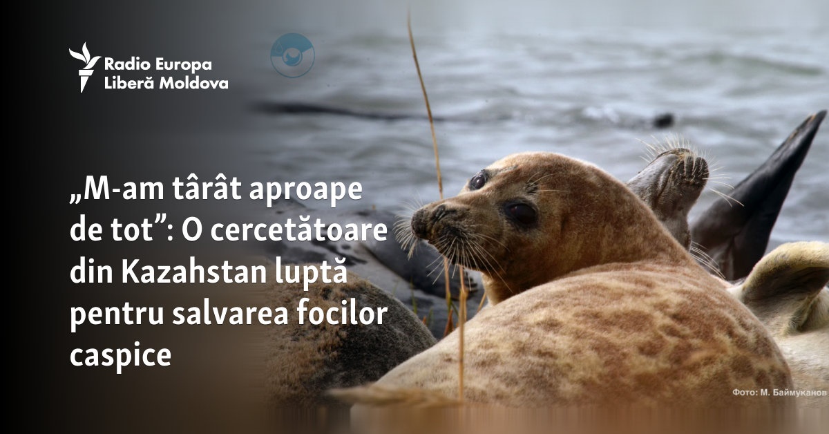 „M-am târât aproape de tot”: O cercetătoare din Kazahstan luptă pentru ...