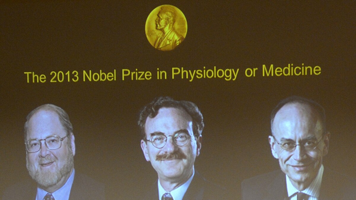 Trio Of Researchers Awarded Nobel Prize For Medicine
