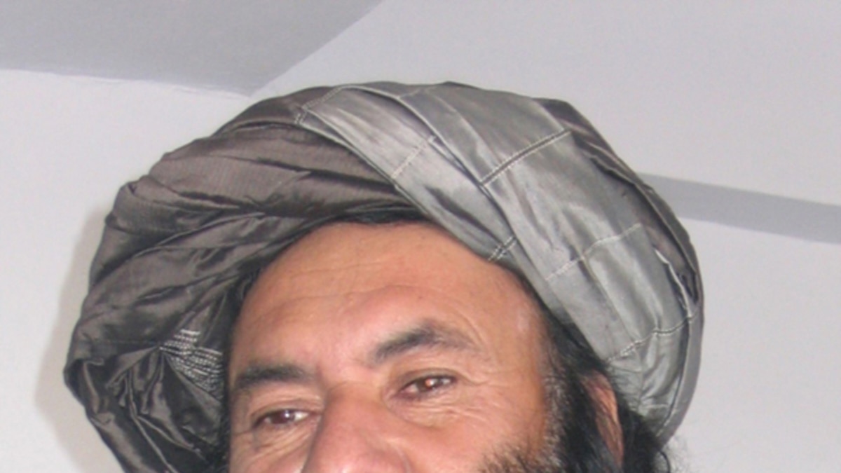 Ex-Commander Says Most Afghan Taliban Want Peace