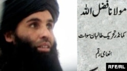 'Radio Mullah' -- The Pakistani Taliban's New Leader