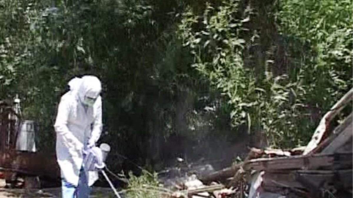 Congo-Crimean Hemorrhagic Fever Takes A Deadly Toll In Central Asia