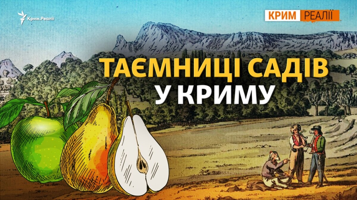 Звідки фрукти у кримському лісі? | Крим.Реалії