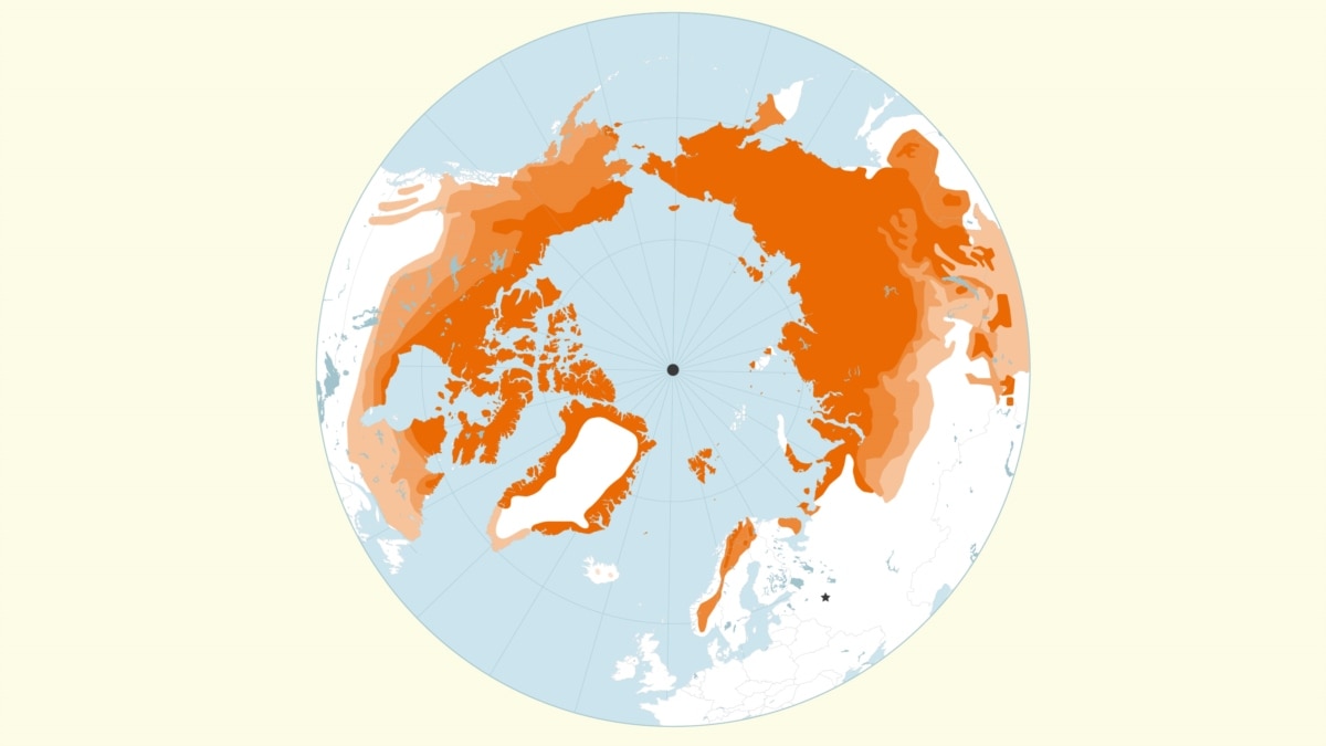 Thawing Permafrost: A Carbon Sink Or Carbon Source?