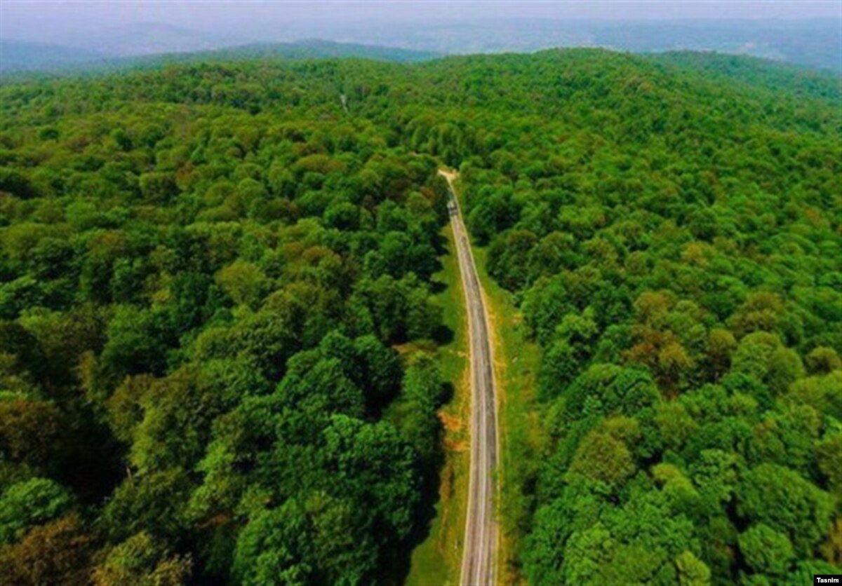 UNESCO Adds Iran’s Hyrcanian Forests, Iraq’s Babylon To World Heritage List