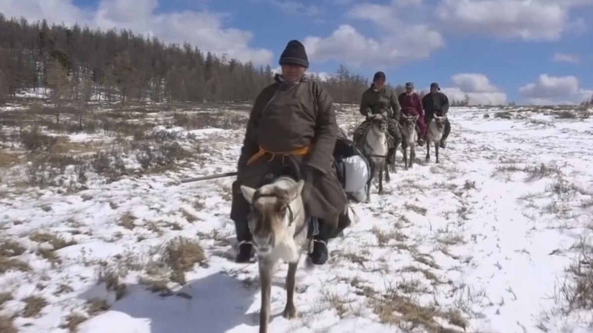 The Dukha: Mongolia's Last Reindeer Herders