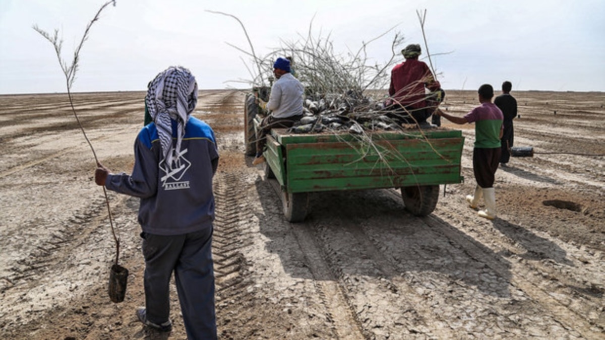 Poverty, Separatism, And Bloody Memories Of War: Why Iran's Khuzestan ...