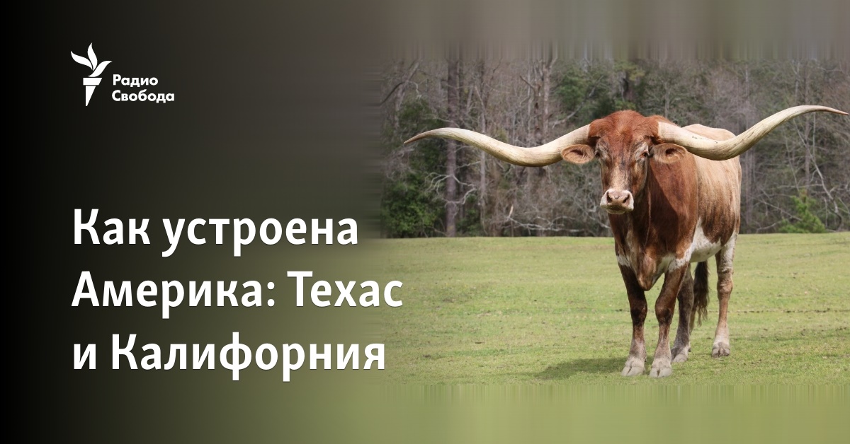 Кино | Страница 315 | WarOnline.org | Израильский Военно-Исторический Форум