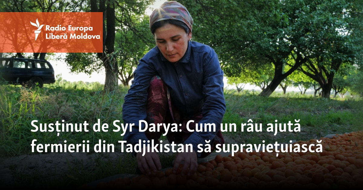 Susținut de Sîrdaria: Cum un râu ajută fermierii din Tadjikistan să ...