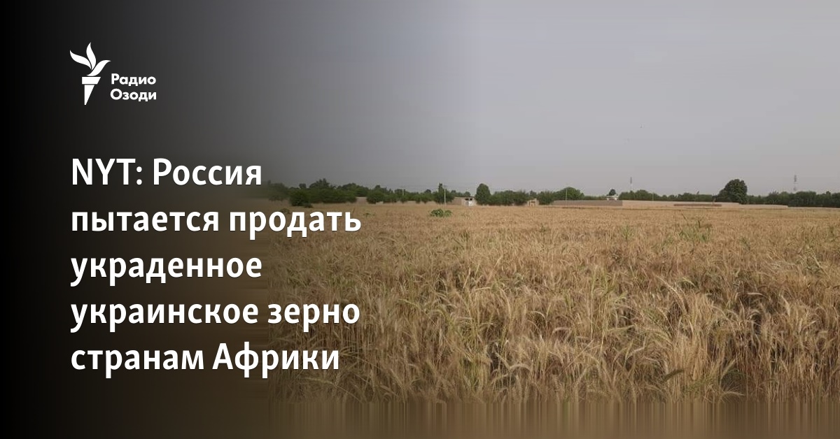 Nyt Россия пытается продать украденное украинское зерно странам Африки