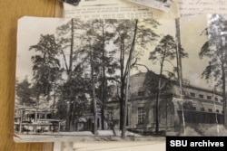 Trotsky In The Trees: The Tragic Aftermath Of A 'Face' Spotted In The ...