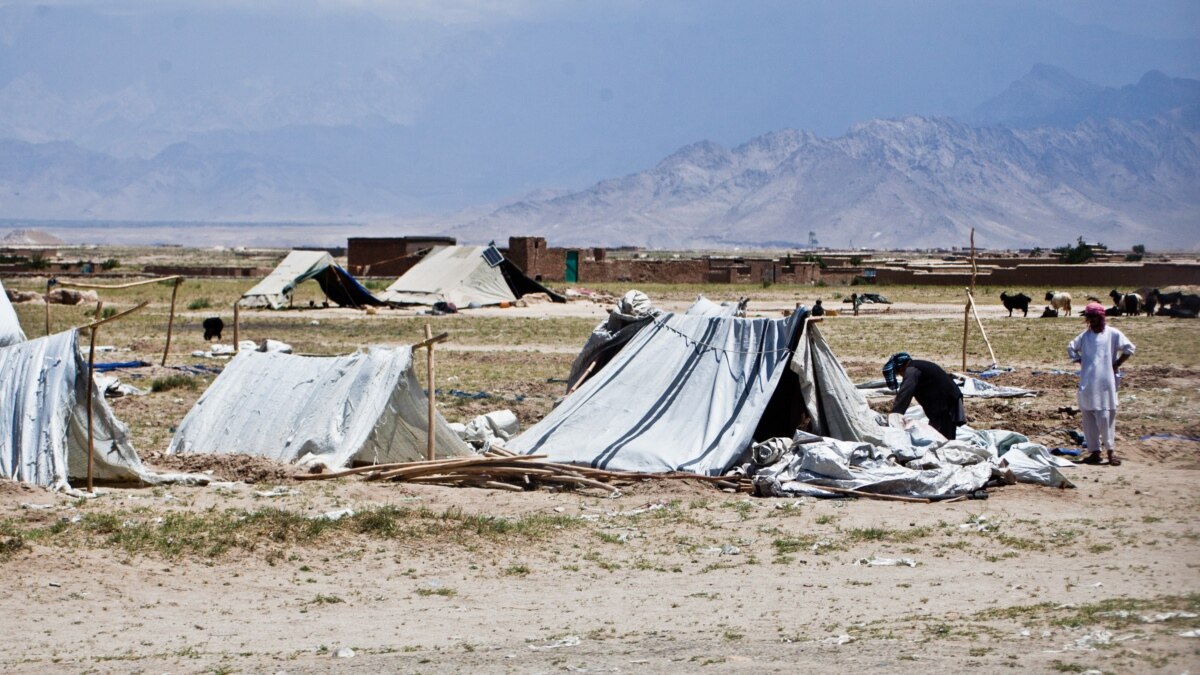 Afghanistan's Kuchi Nomads Forced To Settle